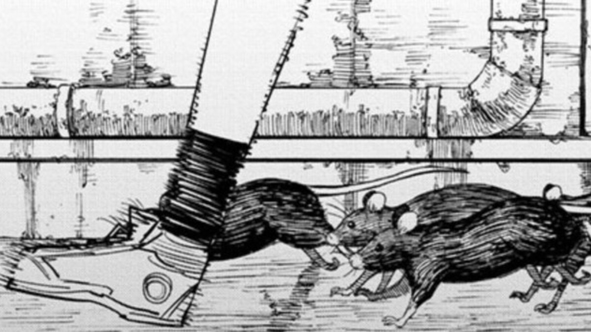 What Does Country vs City Mouse Mean in Chainsaw Man? Answered - Twinfinite