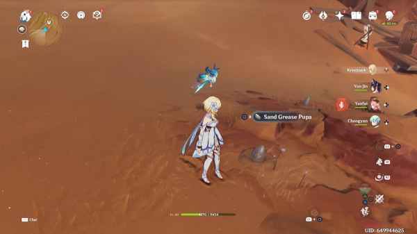 All Sand Grease Pupa Locations in Genshin Impact - Twinfinite