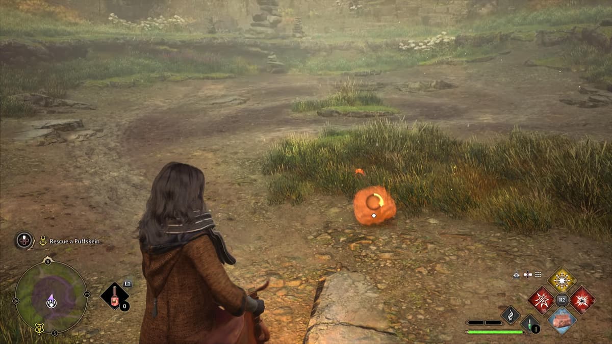 How to Complete The Elf, The Nab-Sack, and The Loom in Hogwarts Legacy ...