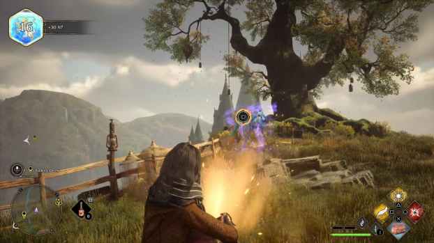 How to Find & Catch a Jobberknoll in Hogwarts Legacy - Twinfinite