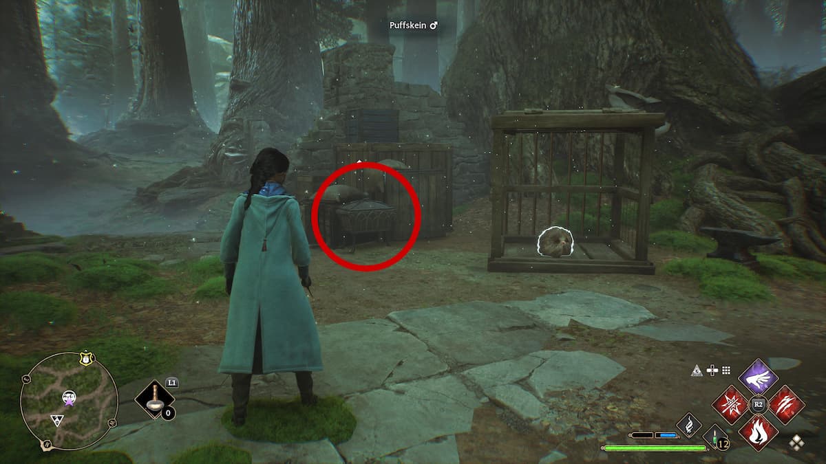 How to Find All of the Collection Chests in Forbidden Forest in ...