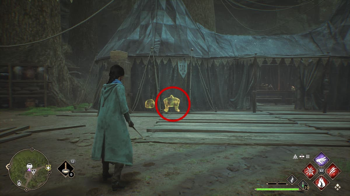How to Find All of the Collection Chests in Forbidden Forest in ...