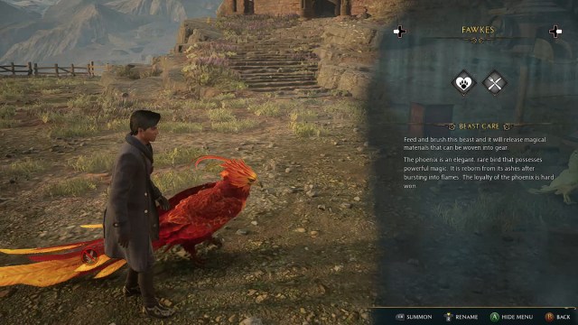 Top 5 Best Beasts to Keep in Hogwarts Legacy - Twinfinite