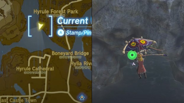 Where To Find the Apapes Lightroot in Zelda: Tears of the Kingdom ...