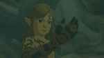 What Happened to Link's Arm in Zelda: Tears of the Kingdom? - Twinfinite