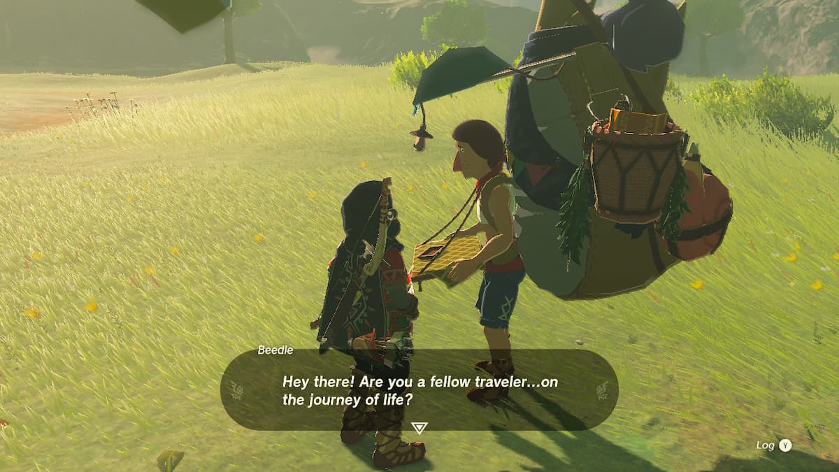 How to Get Sunset Fireflies in Zelda: Tears of the Kingdom - Twinfinite