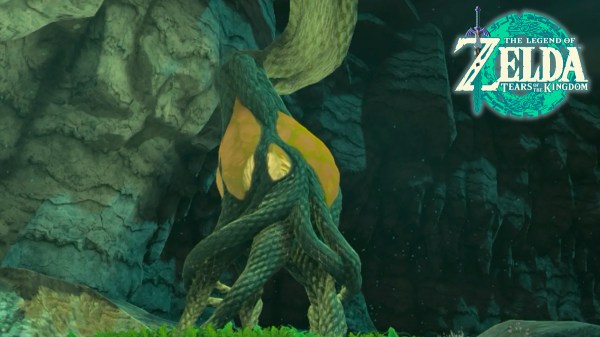 How Many Lightroots Are There in Zelda: Tears of the Kingdom? Answered ...