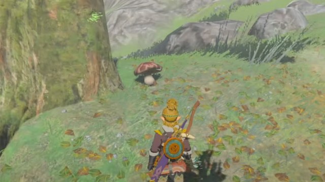 Where To Find Razorshrooms in Zelda: Tears of the Kingdom