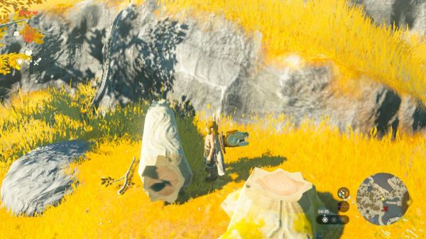 How to Cut Trees for Wood in Zelda: Tears of the Kingdom - Twinfinite
