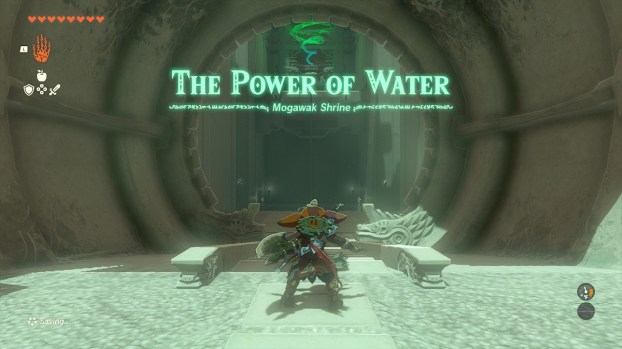 Mogawak Puzzle Solution in Zelda: Tears of the Kingdom