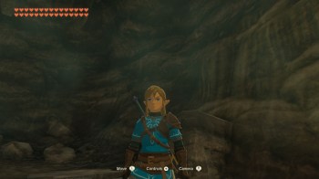 What Is the Maximum Amount of Hearts You Can Get in Zelda Tears of the ...