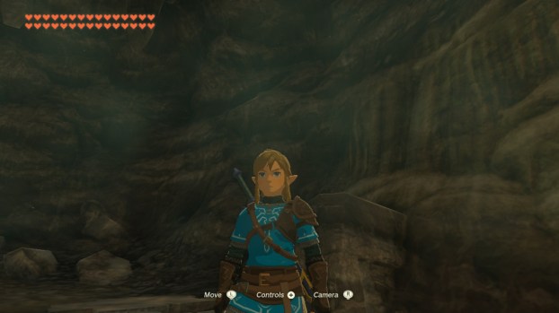 What Is the Maximum Amount of Hearts You Can Get in Zelda Tears of the ...