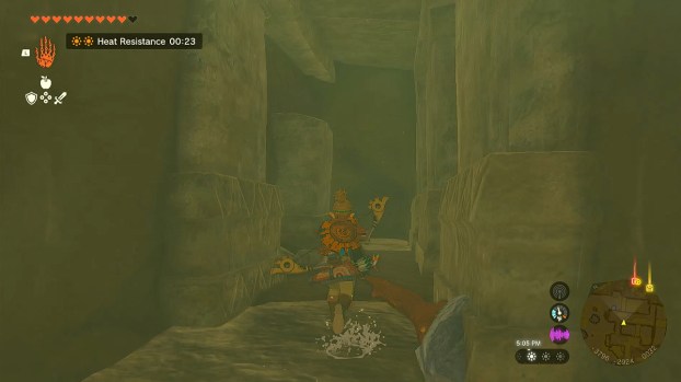 How to Get the Desert Voe Armor in Zelda: Tears of the Kingdom - Twinfinite