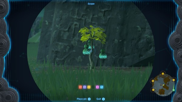 How to Get and Use Splash Fruits in Zelda: Tears of the Kingdom ...