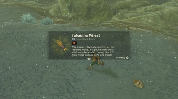 How to Get Tabantha Wheat in Zelda: Tears of the Kingdom - Twinfinite
