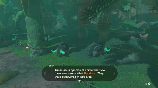 How to Complete the Beast and the Princess Quest in Zelda: Tears of the ...