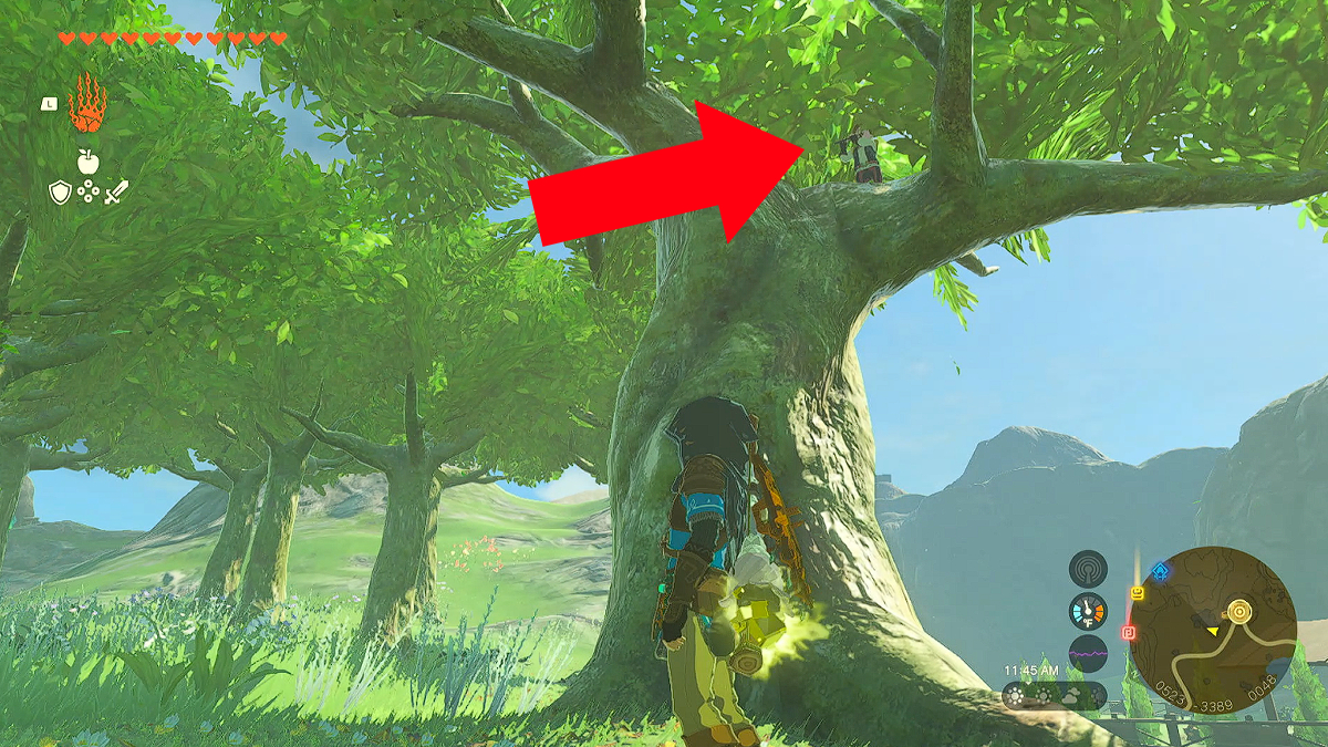 How To Complete the Flute Player’s Plan Quest in Zelda: Tears of the Kingdom - Twinfinite