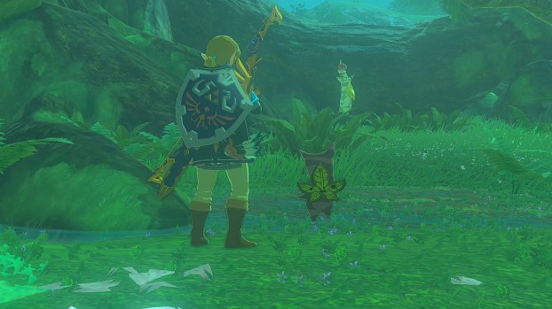 How to Complete Whirly Swirly Things Quest in Zelda: Tears of the ...
