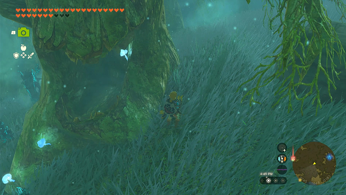 How to Get to Lake Saria in Zelda: Tears of the Kingdom - Twinfinite