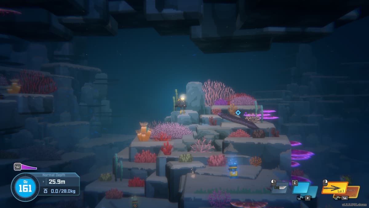 How to Catch Moray Eel in Dave the Diver - Twinfinite