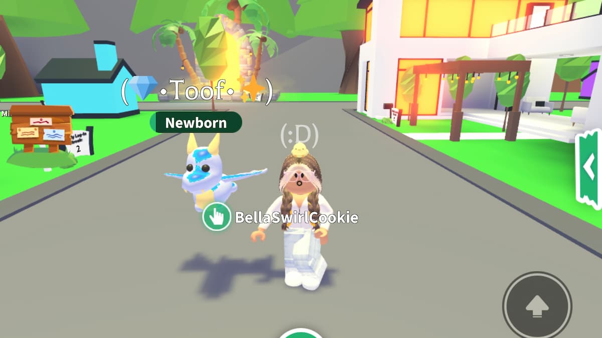 All Roblox Adopt Me Pet & Item Trade Values - Twinfinite