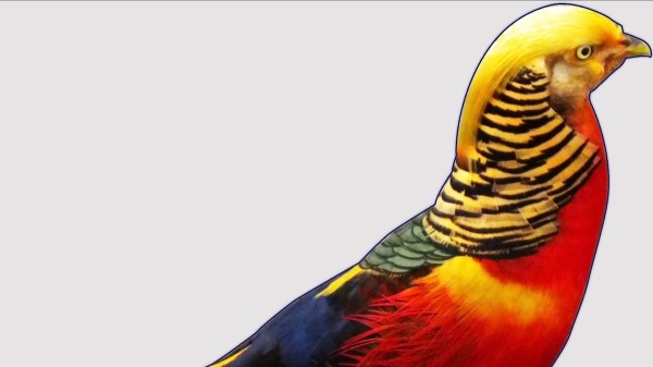 All Hatoful Boyfriend Characters, Ranked - Twinfinite