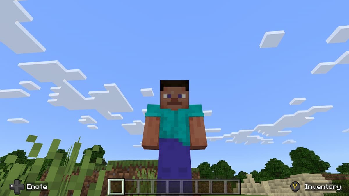 How Old Is Steve in Minecraft? Explained - Twinfinite