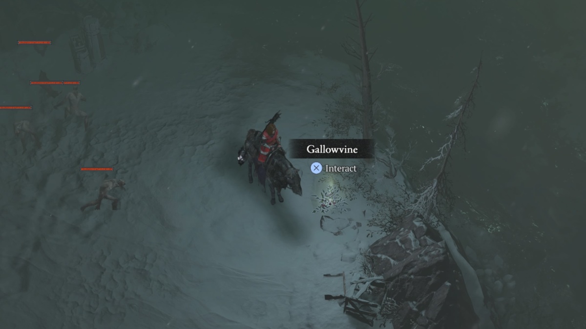 How to Farm Gallowvine in Diablo 4 - Twinfinite