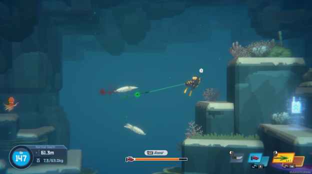 How to Get Cuttlefish Skin Fragment in Dave the Diver - Twinfinite