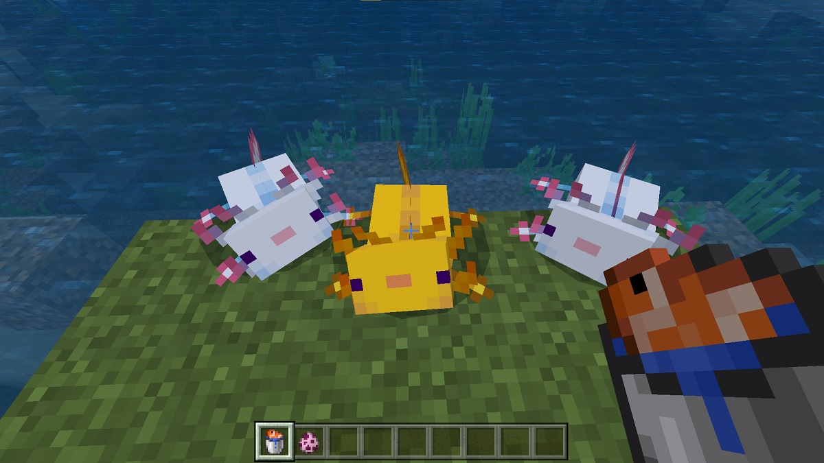 What Do Axolotls Eat in Minecraft? Answered - Twinfinite
