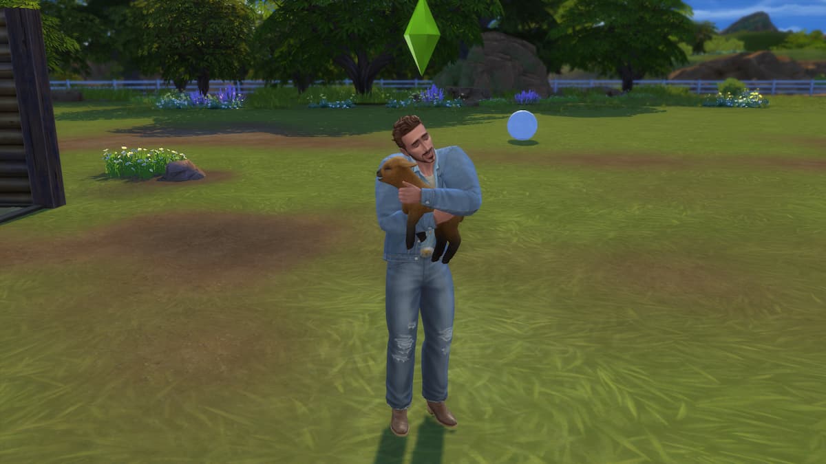 How Many Mini Sheep & Mini Goats Can You Place on a Lot in Sims 4 Horse ...