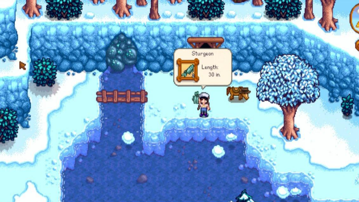 Sturgeon Stardew Valley: How & Where to Catch - Twinfinite