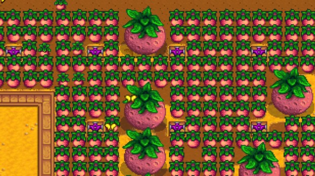 Best Summer Crops in Stardew Valley - Twinfinite