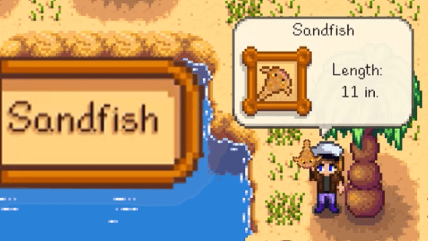 Stardew Valley: Where to Catch Sandfish - Twinfinite