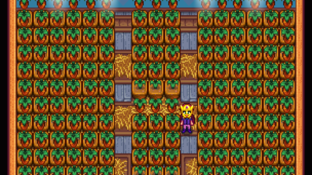 Best Fall Crops in Stardew Valley - Twinfinite