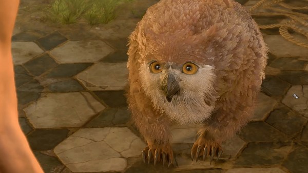 How to Get the Owlbear Cub in Baldur’s Gate 3 (BG3) - Twinfinite