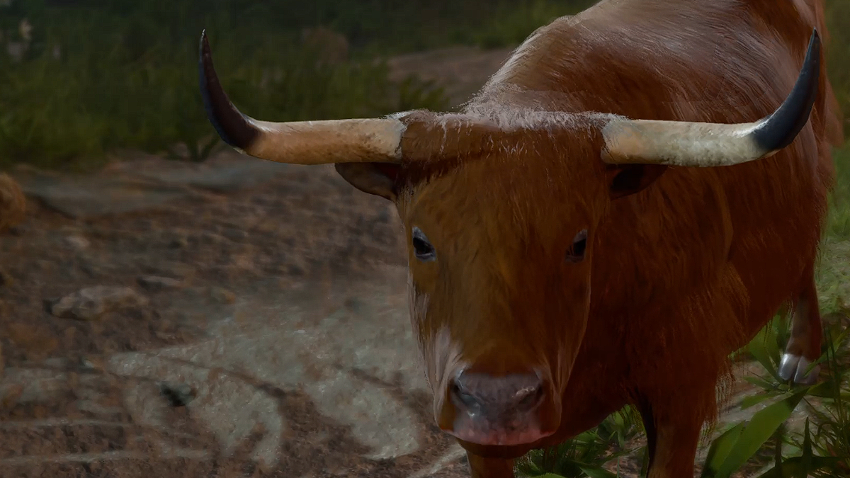 What to Do With the Strange Ox in Baldur’s Gate 3 (BG3) - Twinfinite