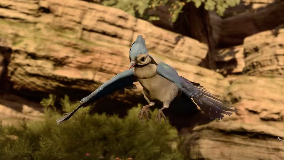 How to Get Blue Jay's Find Treasure in Baldur's Gate 3 (BG3) - Twinfinite