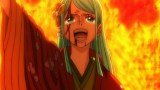 Top 10 Paramecia Type Devil Fruits in One Piece, Ranked - Twinfinite