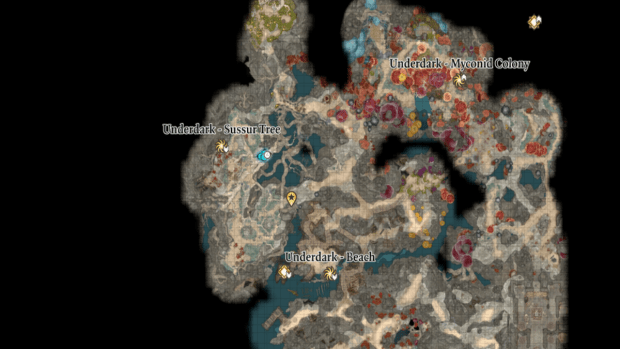 How to Get Sussur Bark in Baldur's Gate 3 (BG3) - Twinfinite