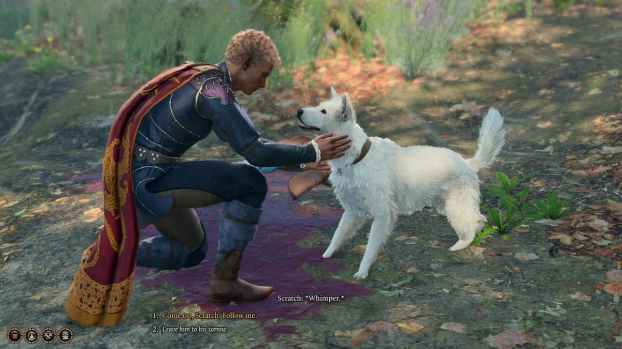 How to Play Fetch With Scratch in Baldur’s Gate 3 (BG3) - Twinfinite