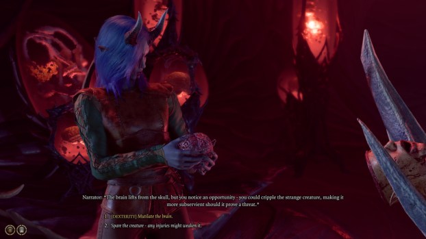 Should You Remove, Destroy or Mutilate Myrnath's Brain in Baldur's Gate ...