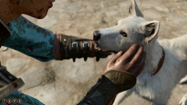 Baldur's Gate 3 Scratch Guide: How to Find & Use Dog Companion - Twinfinite
