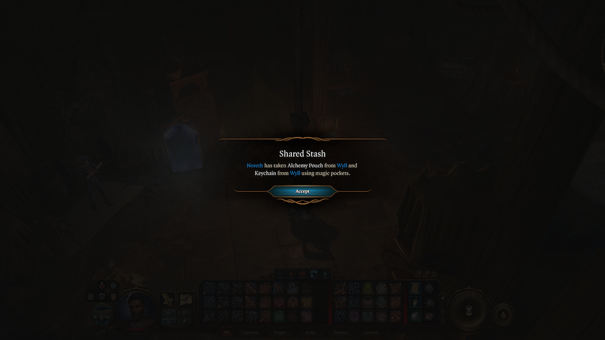 Can You Turn Off Shared Stash in Baldur's Gate 3? Explained - Twinfinite