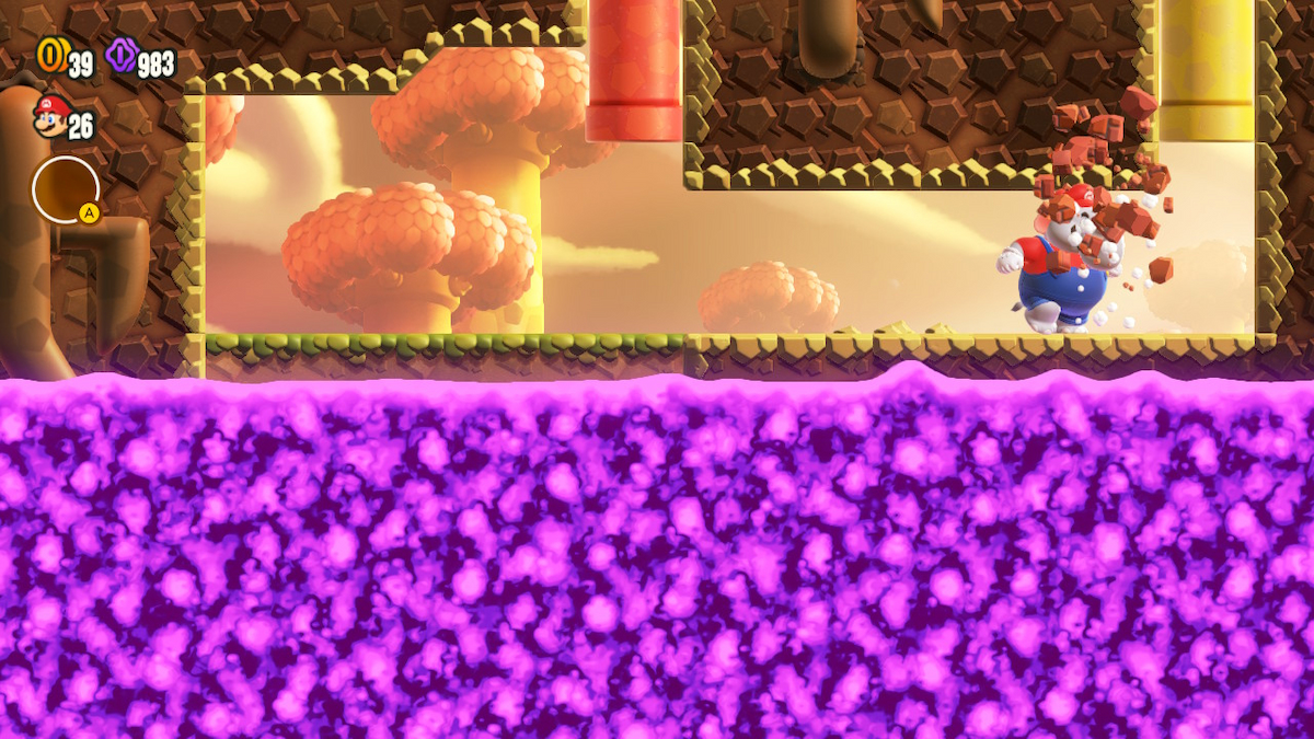 All Special World Entrances in Super Mario Bros. Wonder - Twinfinite