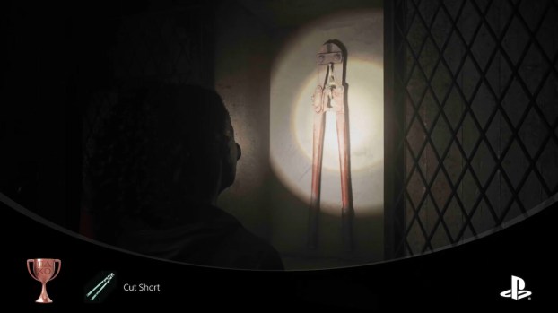 Alan Wake 2: Where to Find Bolt Cutters - Twinfinite