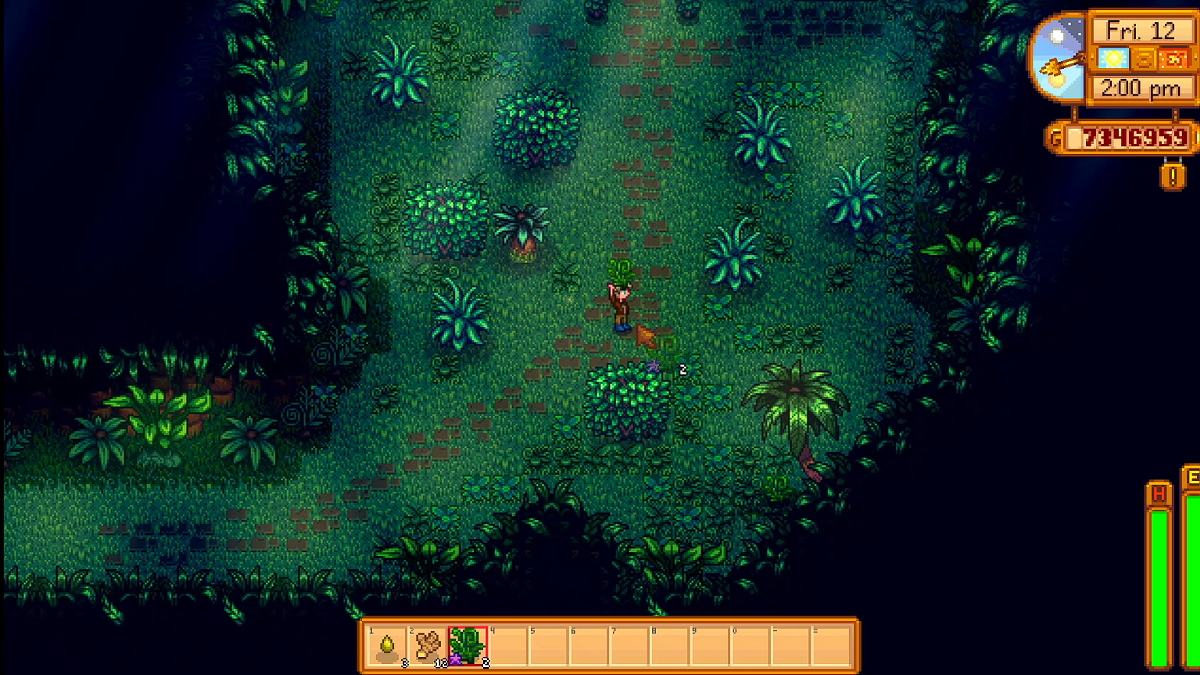 How to Get & Use Fiddlehead Fern in Stardew Valley - Twinfinite