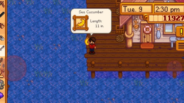 Stardew Valley Sea Cucumber: Where to Catch & How to Use - Twinfinite