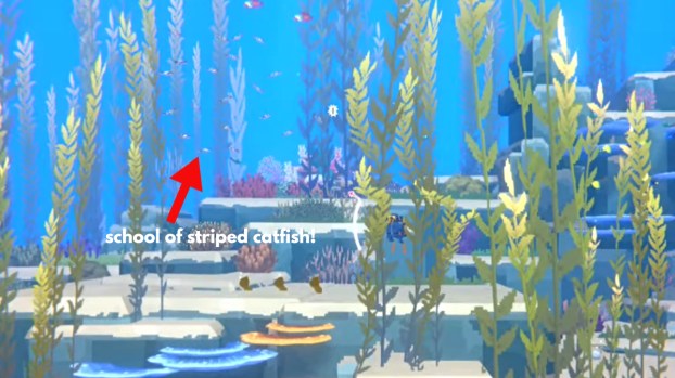 How to Catch Striped Catfish in Dave the Diver - Twinfinite