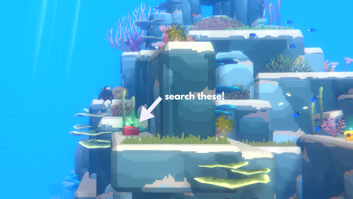 Where to Find Cat Food in Dave the Diver & What It's For - Twinfinite